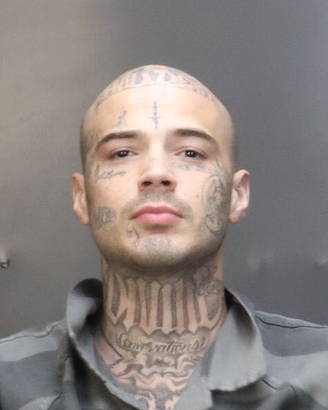 McLennan County Mugshots Application